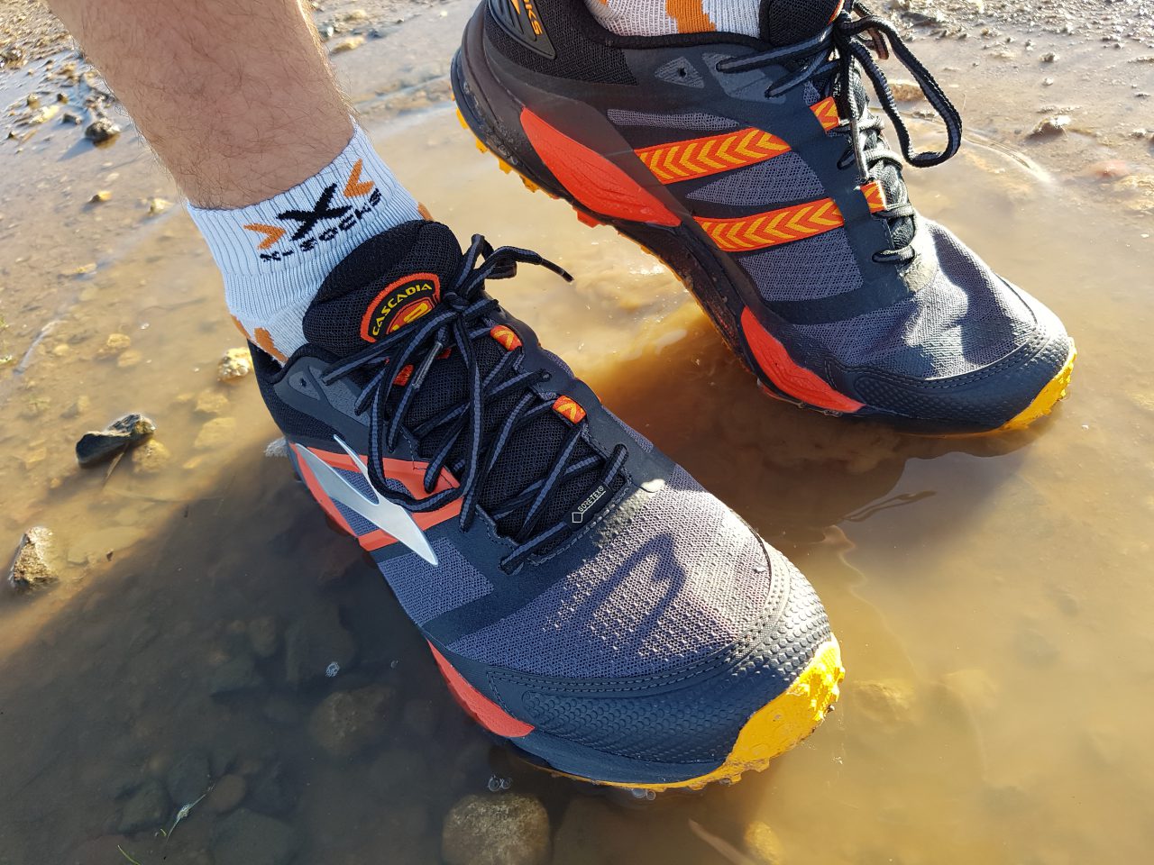 Laufschuhtest Brooks Cascadia 12 GTX Trailschuhe HW 2017 - Review